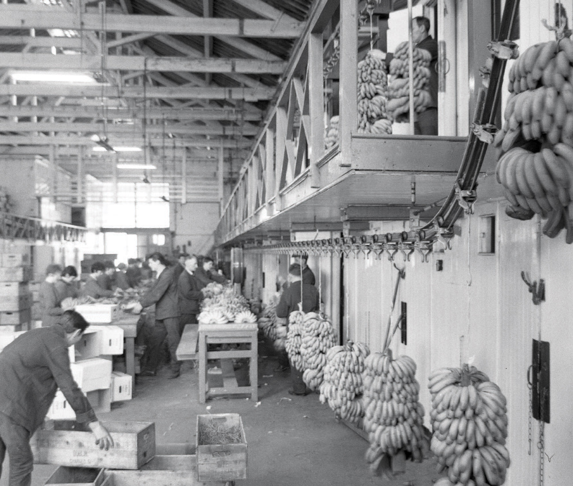 Tropical Fruit Warehouse – A reflective design connecting innovation ...